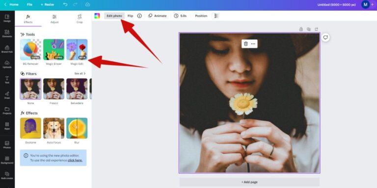 How To Use Canva MAGIC EDIT Tool - Remove And Add New Objects To Your ...